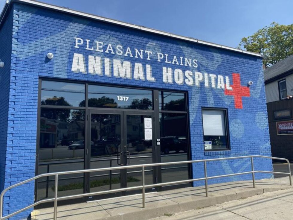 Location | Pleasant Plains Animal Hospital